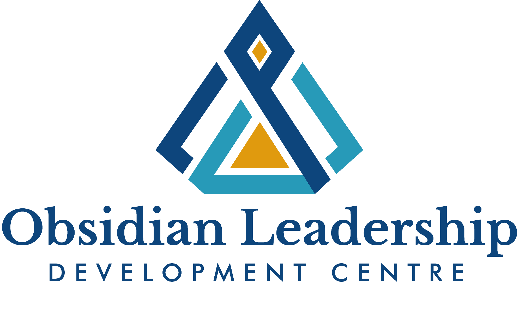 The Online Portal to support Black Professionals